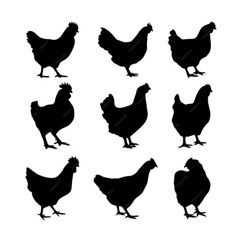 Premium Vector Chicken Silhouette Or Hen Silhouettes Vector