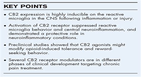 An Overview Of The Cannabinoid Type 2 Receptor System And It