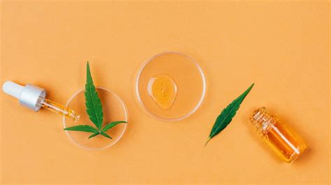 La Ciencia Al Servicio De La Belleza Cuáles Son Los Componentes Más