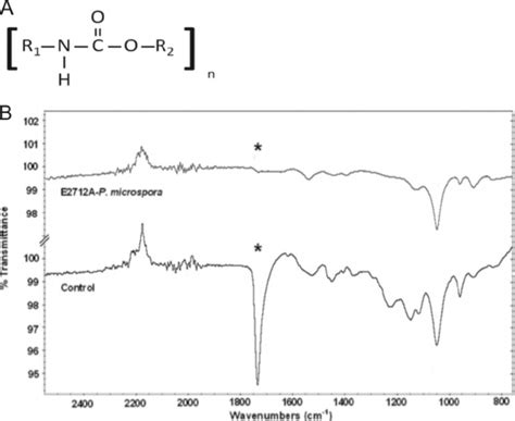 A General Chemical Structure Of The Polyurethane Molecule R 1 And R Download Scientific