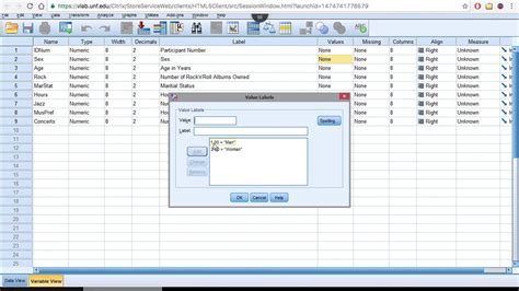 Spss Data Entry How To Youtube