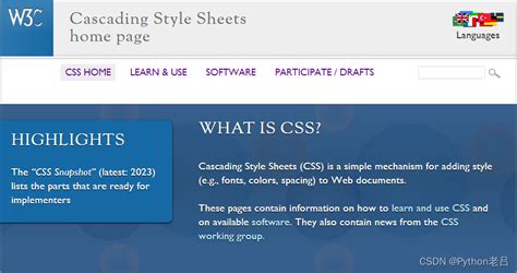 1css是什么？——《跟老吕学css》 Csdn博客