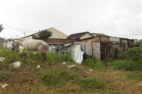 Extremely Poor Housing Condition In Brazil Stock Image Image Of