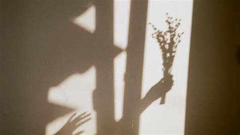 Opencv Archives Pystyle