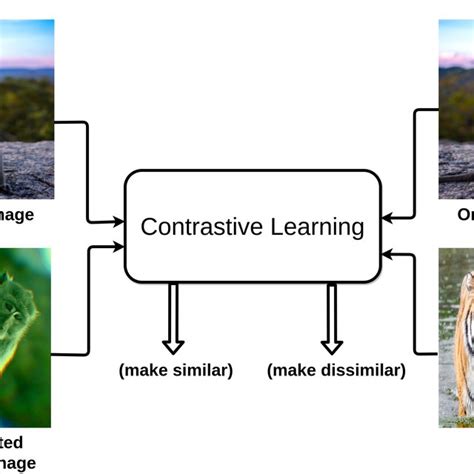Pdf A Survey On Contrastive Self Supervised Learning