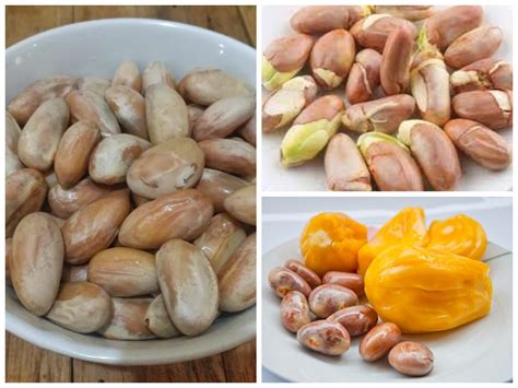 Berbagai Manfaat Biji Nangka Rebus Bagi Kesehatan Tubuh