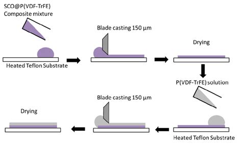 36 Optimized Sco P Vdf Trfe P Vdf Trfe Bilayer Fabrication Procedure Download Scientific