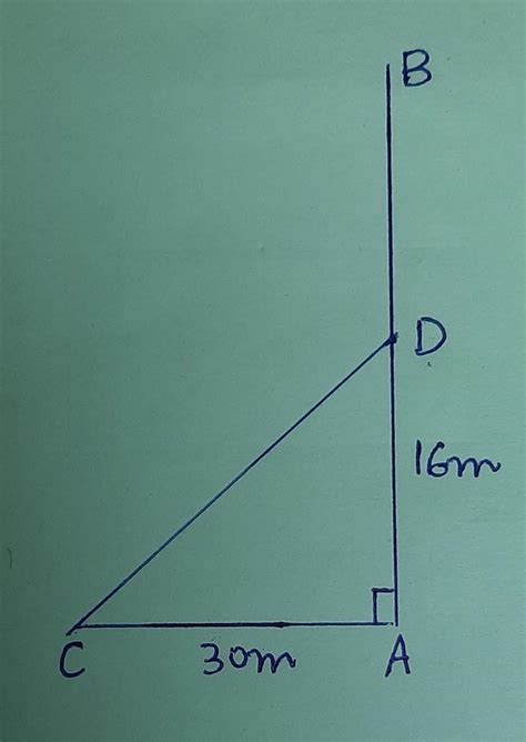 The Trunk Of The Straight Tree Breaks At The Height Of M Above The Ground In A Storm And The