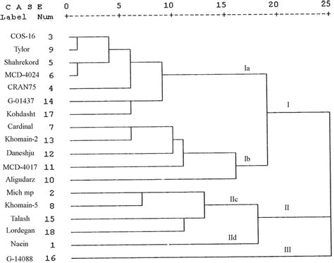 Wards Minimum Variance Dendrogram Of 18 Phaseolus Vulgaris L