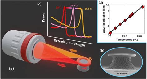 Student First Authored Paper Exploring Biochemical Sensors Capable Of
