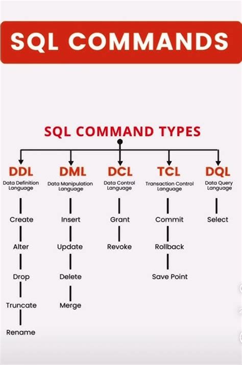 Sql Command Types For Database Engineers Youtube