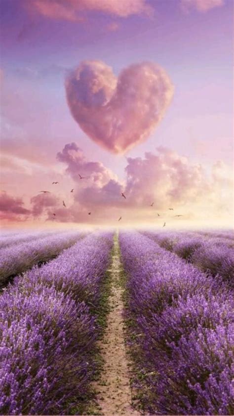 خلفيات موبايل للبنات 100 صورة تنزيل فوري مجاني عالم الخلفيات