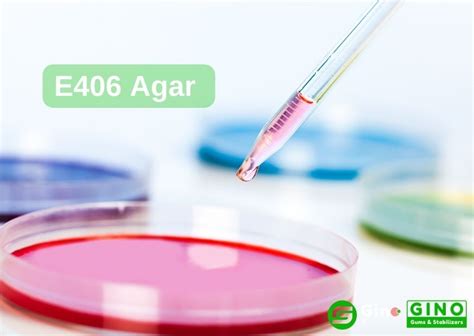 E406 Agar Vs Agarose Grande Différence Entre Agar Et Agarose