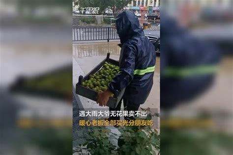 【山东】大爷凌晨摘无花果遇大雨卖不出去，暖心老板全部买光分给朋友吃买光无花果大雨
