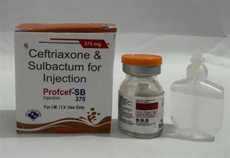 375mg Ceftriaxone Sulbactam Injection At ₹ 50 Box Ceftriaxone Sulbactam Injection In Roorkee