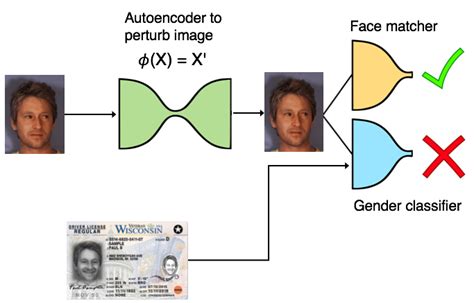 Generating Gender Neutral Face Images With Semi Adversarial Neural Networks To Enhance Privacy