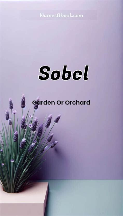 Sobel Name Meaning And Origins Nicknames Sibling Ideas