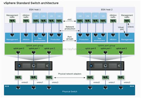 Vmware Switch