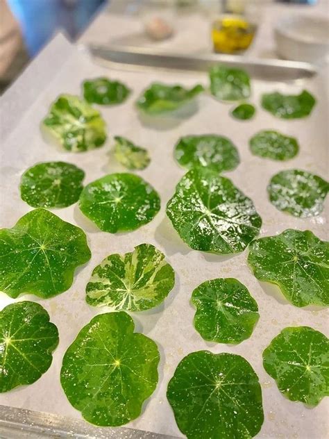 10 Edible Spring Weeds Artofit