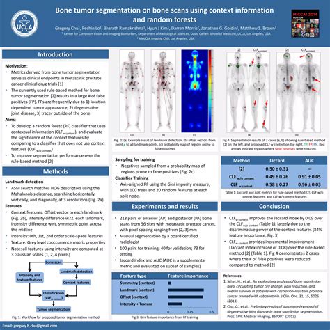 Bone Tumor Segmentation On Bone Scans Using Context Information And