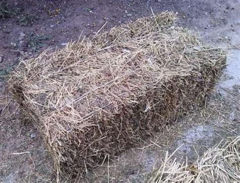 Заловиха крадец на бали от кравеферма