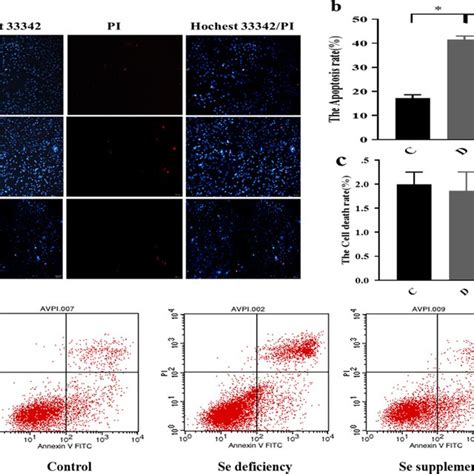 A The Hoechst 33 342 Pi Staining Of Se Deficiency Model Light Blue Download Scientific Diagram