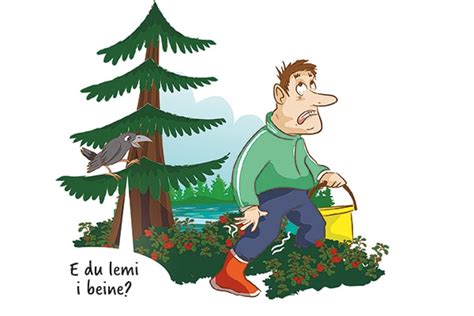 Lemin Men Glad Katternö Digital 2 • 2024