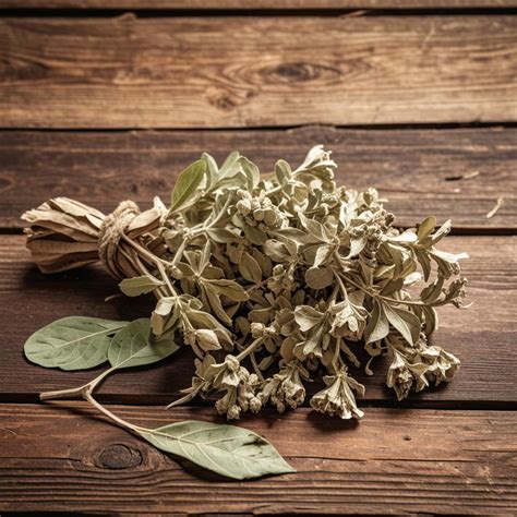 Panax Quinquefolium Uses Benefits And Remedies