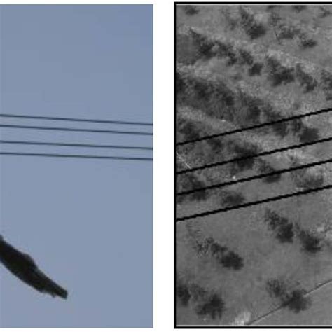 Samples Of Extra Matter Images This Paper Provides A New Image Download Scientific Diagram