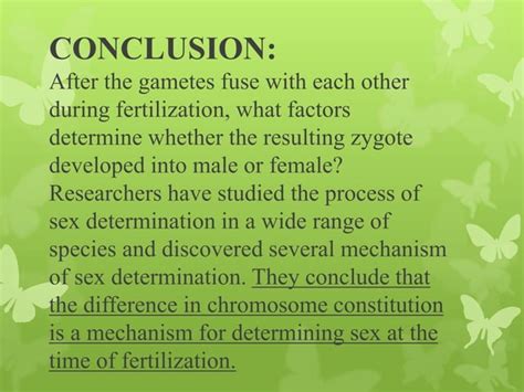 Sex Determination Chromosomal Theory Of Sex Determination Pptx Reproductive Health
