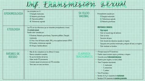 Infeccion De Transmisión Sexual Jessie Paola Udocz