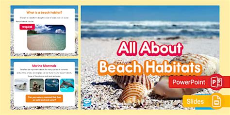All About Beach Habitats PowerPoint Google Slides K Nd