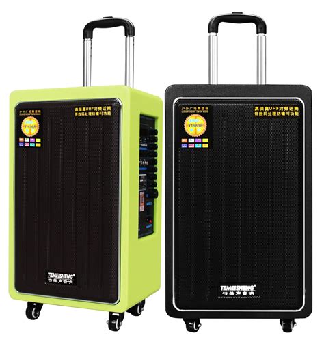 8 Inch 100w Portable Party Heavy Bass Dj Trolley Subwoofer Bt Speaker Portable Wireless