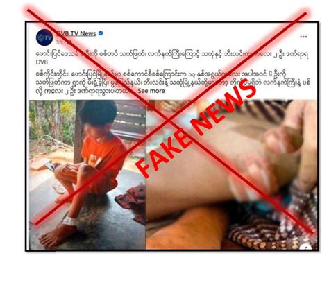 ဖောင်းပြင်မြို့နယ်ရှိ ဒေသခံ ၆ ဦးကို တပ်မတော်စစ်ကြောင်းက သတ်ဖြတ်ကာ ရွာကိုမီးရှို့ခဲ့ကြောင်း မဟုတ