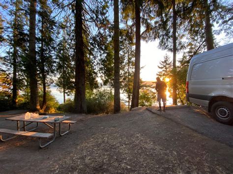 Experience Washingtons Rainforest At These 8 Olympic National Forest