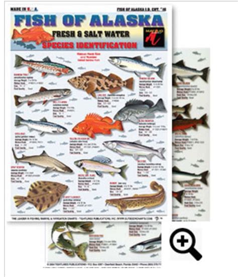 Alaska Fish Species Chart Educational Chart Resources