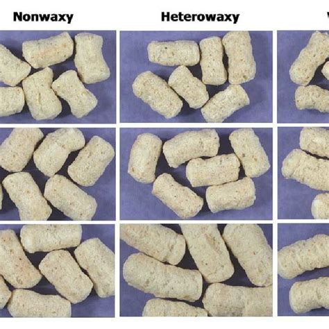 Cross Sections Of Extrudates From Tannin Sorghum In Experiment 4 1 Download Scientific Diagram