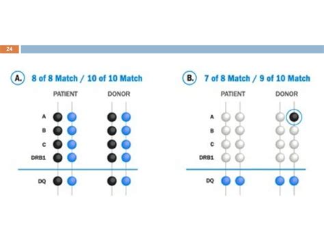 hla matching