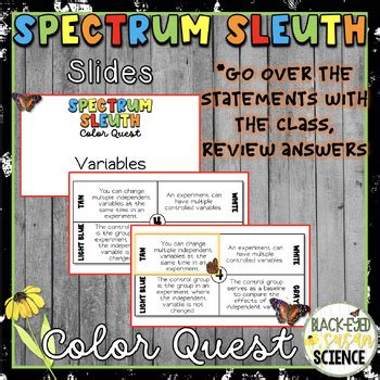 Variables Color By Code Spectrum Sleuth Scientific Inquiry Experiment