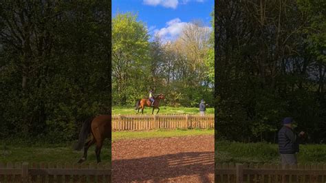 Uk Youtubeshorts Youtube