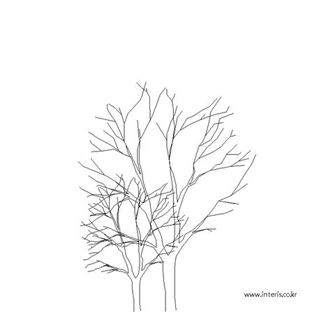 조경 나무입면 Ttebc003 Library Magnicad Cad Block Free Download