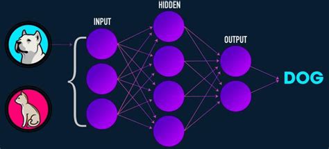 Введение в построение нейронной сети прямого распространения Feedforward