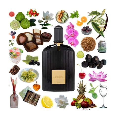 Black Orchid Eau De Parfum By Tom Ford Review — The Scentaur
