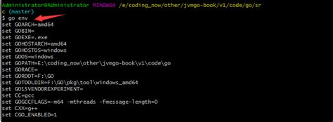 Win Goroot Gopath Go Goland