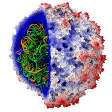 All About Molecular Modeling Avens Blog Avens Blog