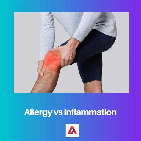 Active Vs Passive Learning Difference And Comparison