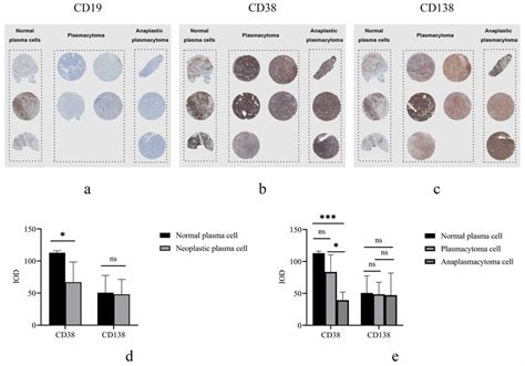 Representative Images And Quantitative Analysis Of A Standardized Tma