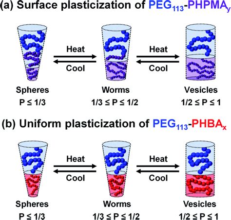 Schematic Cartoons Indicating A The Surface Plasticization Exhibited