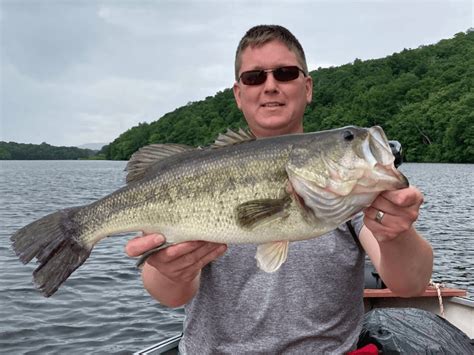 Largemouth Bass Identification Behavior Basics And Best Lures And Techniques Usangler