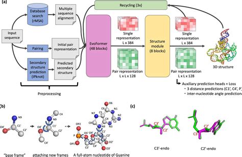 Computational Solution To Model 3d Rna Structures Could Speed Medical Discoveries By Decades